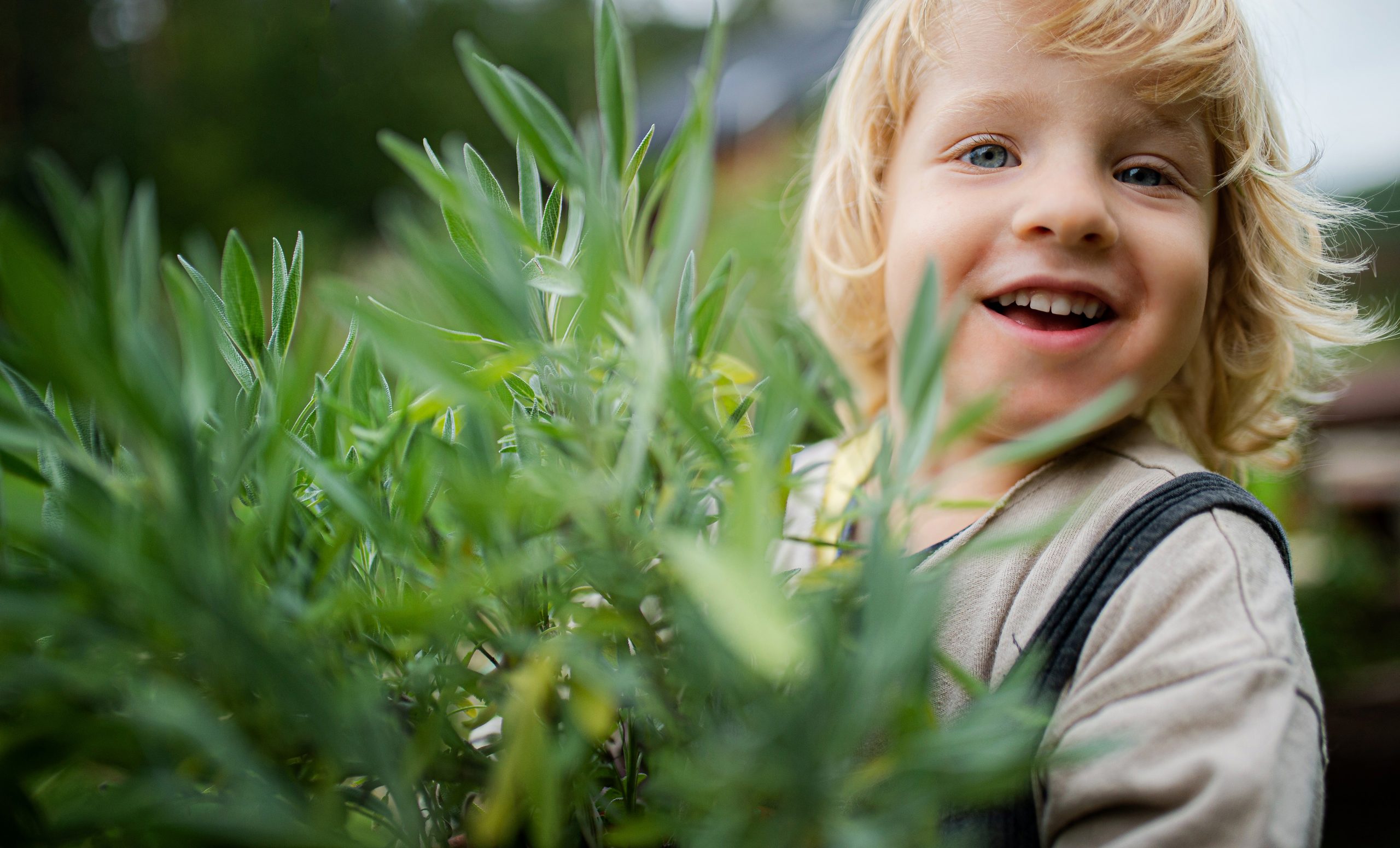 Enhancing Children’s Health with Herbs - Happy Herb Hub