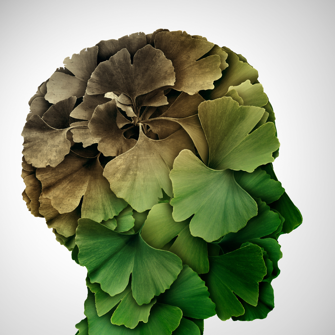 Herbs to protect against cognitive decline - Happy Herb Hub