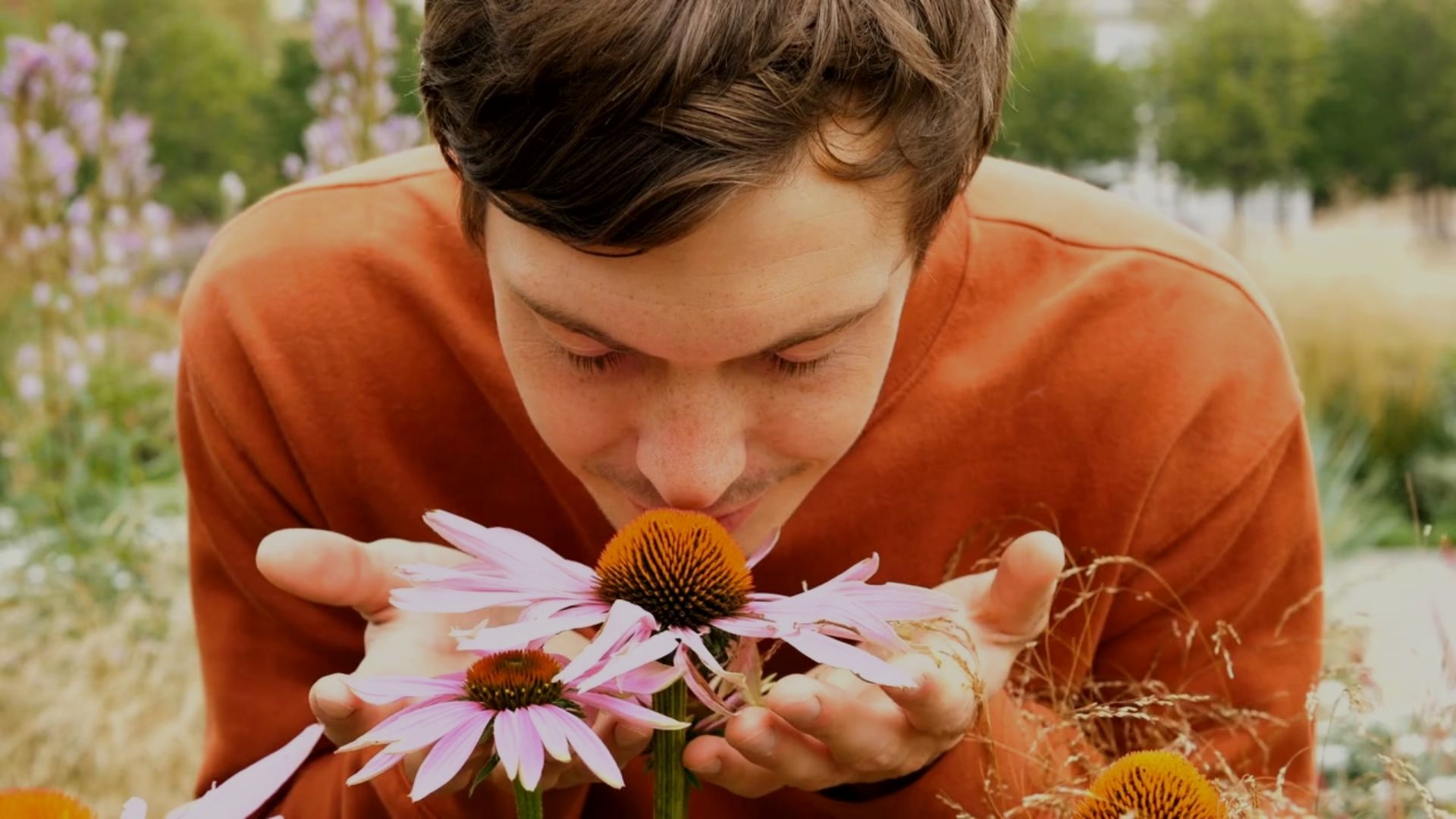 DIY Tincture for Hay Fever - Happy Herb Hub