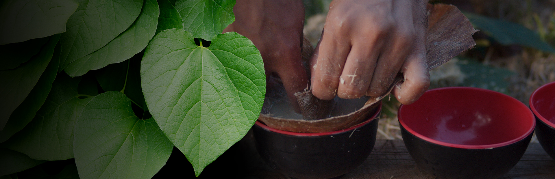 Premium Kava Range - Happy Herb Hub